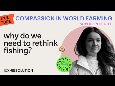 ReThink Fish: Sophie Peutril from Compassion in World Farming on the Horrors of Fish Farms