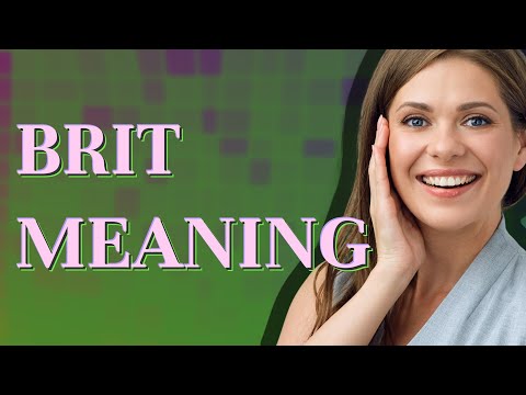 Brit | meaning of Brit