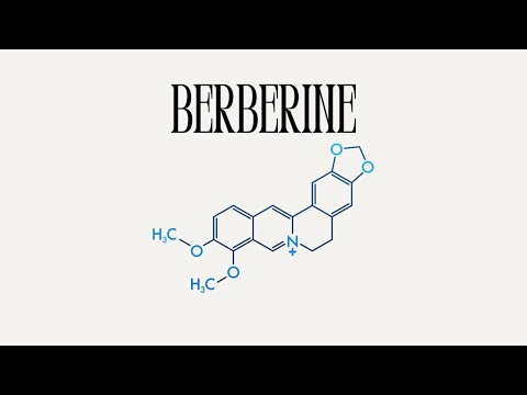 What Is Berberine And Should You Take? Sources, Functions, Benefits, Dosage, Health Risks?