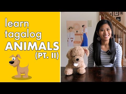 Learn Animals in Tagalog Part 2: Pets & Farm Animals | Tagalog Lesson Kids | How to Speak Tagalog