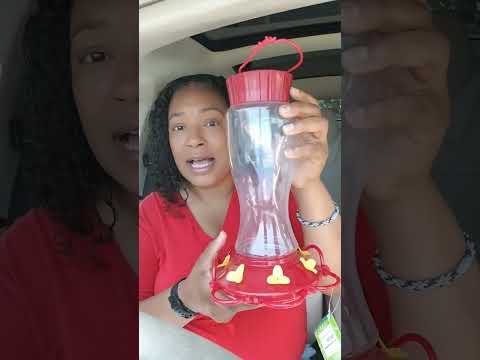 S-046: Rite Aid Garden Buy - Hummingbird Feeders | June 2023