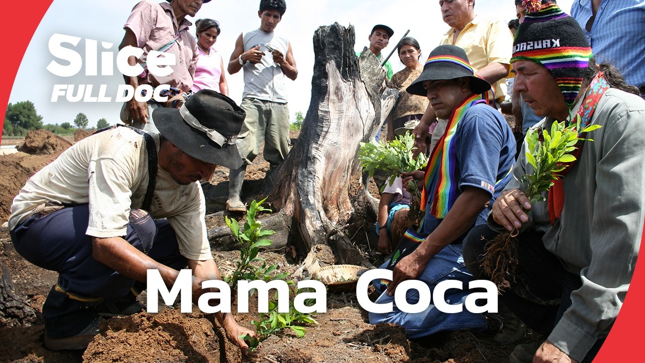 Coca Leaf vs Cocaine: An Indigenous Journey to Peru | FULL DOCUMENTARY
