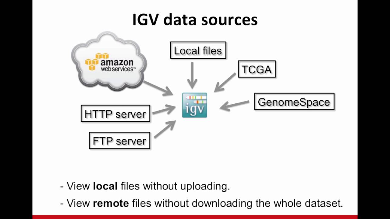 Genome Visualization