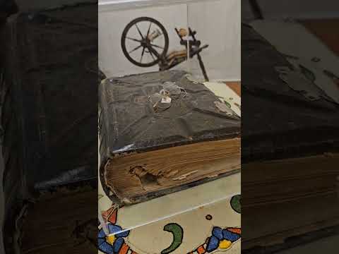 German Translation Bible