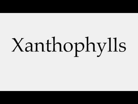 How to Pronounce Xanthophylls