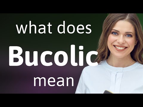 Bucolic | definition of BUCOLIC