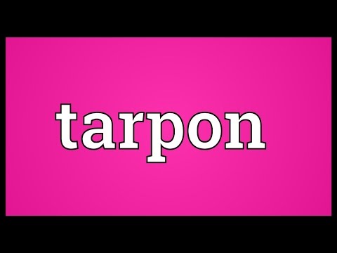 Tarpon Meaning