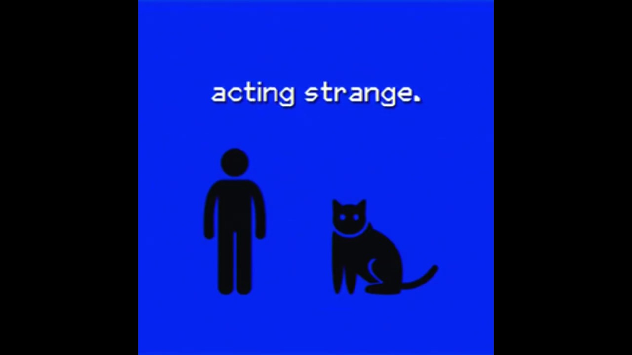 ANALOG HORROR - Cute Cats!