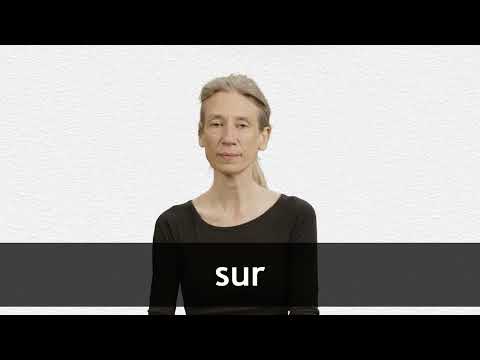 How to pronounce SUR in French