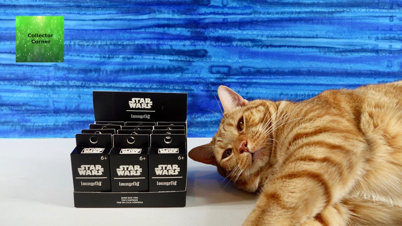 Disney Star Wars Loungefly Backpack Blind Box Pins Unboxing Review | CollectorCorner