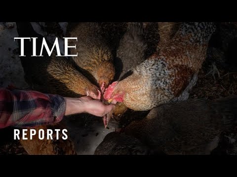 Bird Flu: What Is At Risk For You