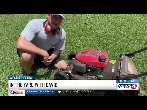 News4 First Alert Weather Extra: In the Yard with David Ep. 12