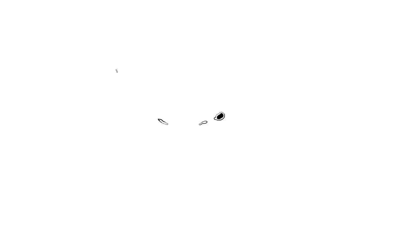 Liquid Particle Animation Test 2d ( Inertia )