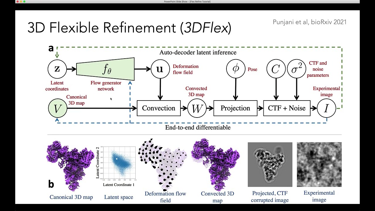 CryoSPARC 3D Flexible Refinement Tutorial