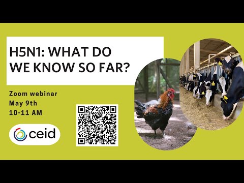 H5N1: What do we know so far?