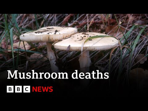 Australia mushroom deaths: Woman charged with murder - BBC News