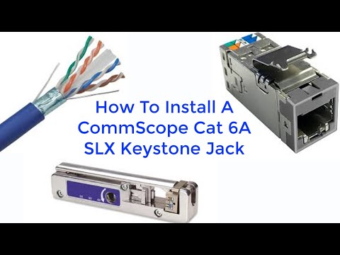 Cat 6 Jack at Best Price in India
