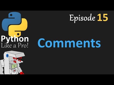 Comments - Python Like a Pro #15