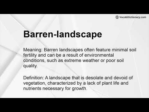 Barren-landscape Meaning