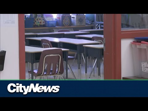 The president of the Surrey Teachers' Association is calling for a halt to B.C.'s standardized tests