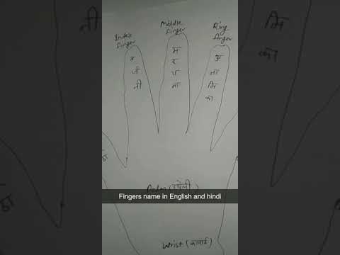 fingers name in hindi &english