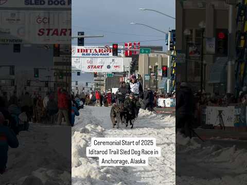 Ceremonial Start of 2025 Iditarod Trail Sled Dog Race in Anchorage, Alaska