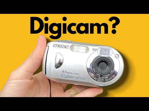 5 Reasons You NEED A Vintage CCD Digicam
