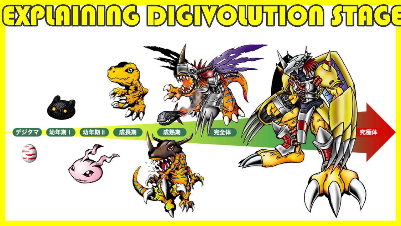 NATURAL DIGIVOLUTION STAGE EXPLAINED (Rookie, Champion, Ultimate, Mega [Digimon Conversation #97]