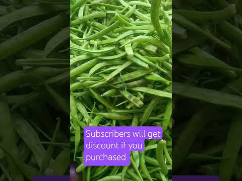 Indian Broad Beans or Avaraikkai in Tamil