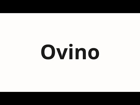 How to pronounce Ovino