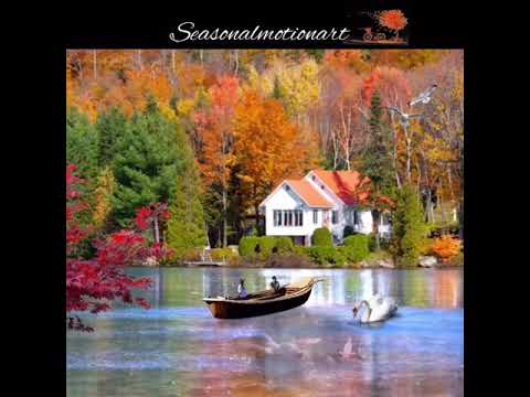 Gif art motion graphic animated autumn