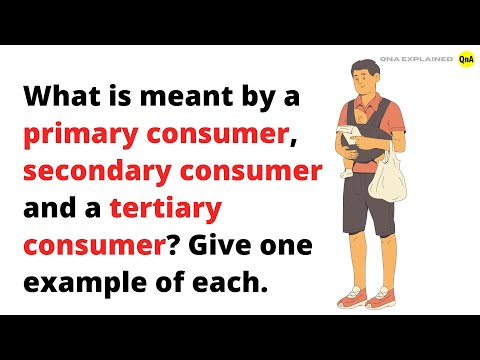 What is meant by a primary consumer, secondary consumer and a tertiary consumer. Give one example?