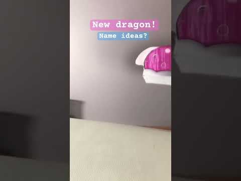Name ideas? #dragons #shorts #paperdragons #pink #names #fypシ
