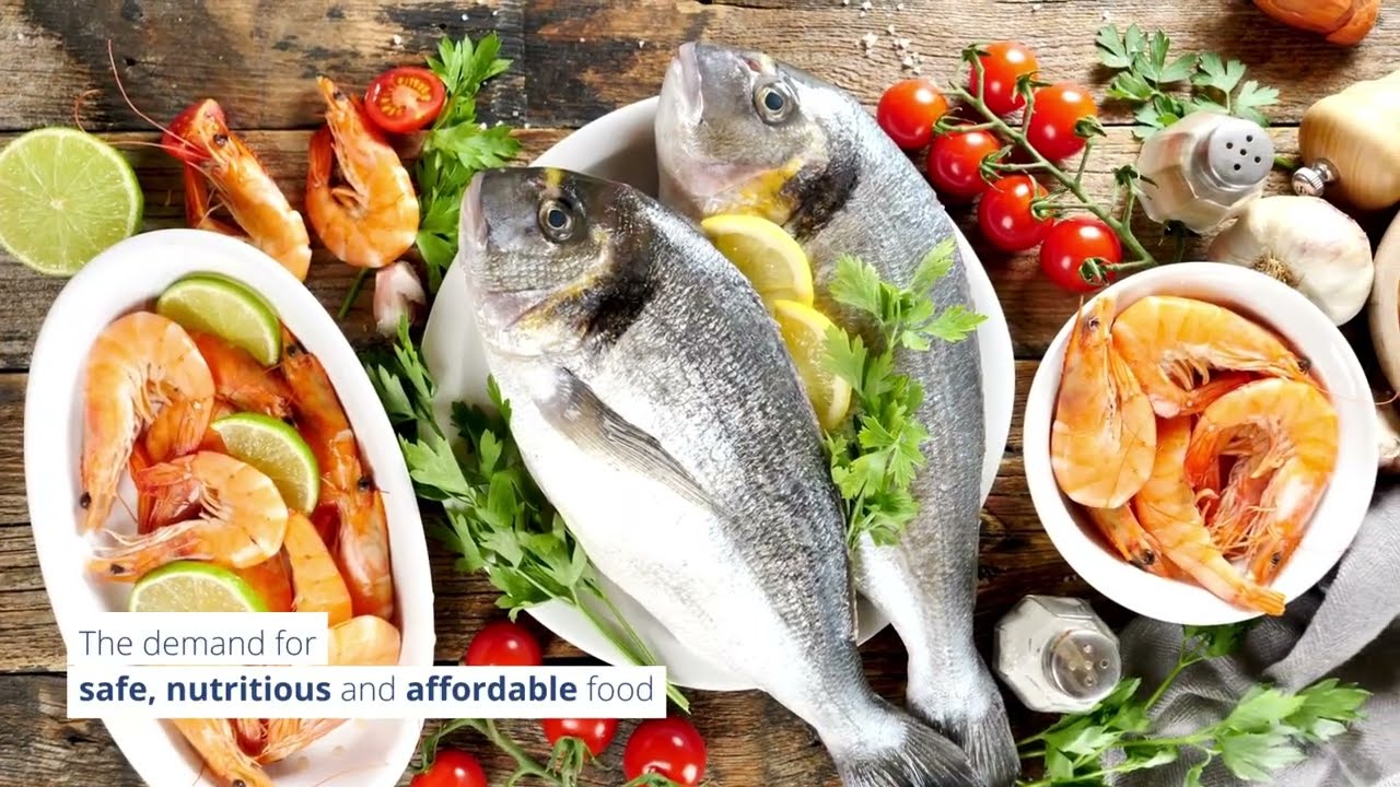 Digital innovations in aquatic food systems