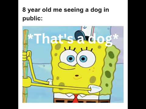 Funny SpongeBob Memes #shorts #memes #funny #comedy