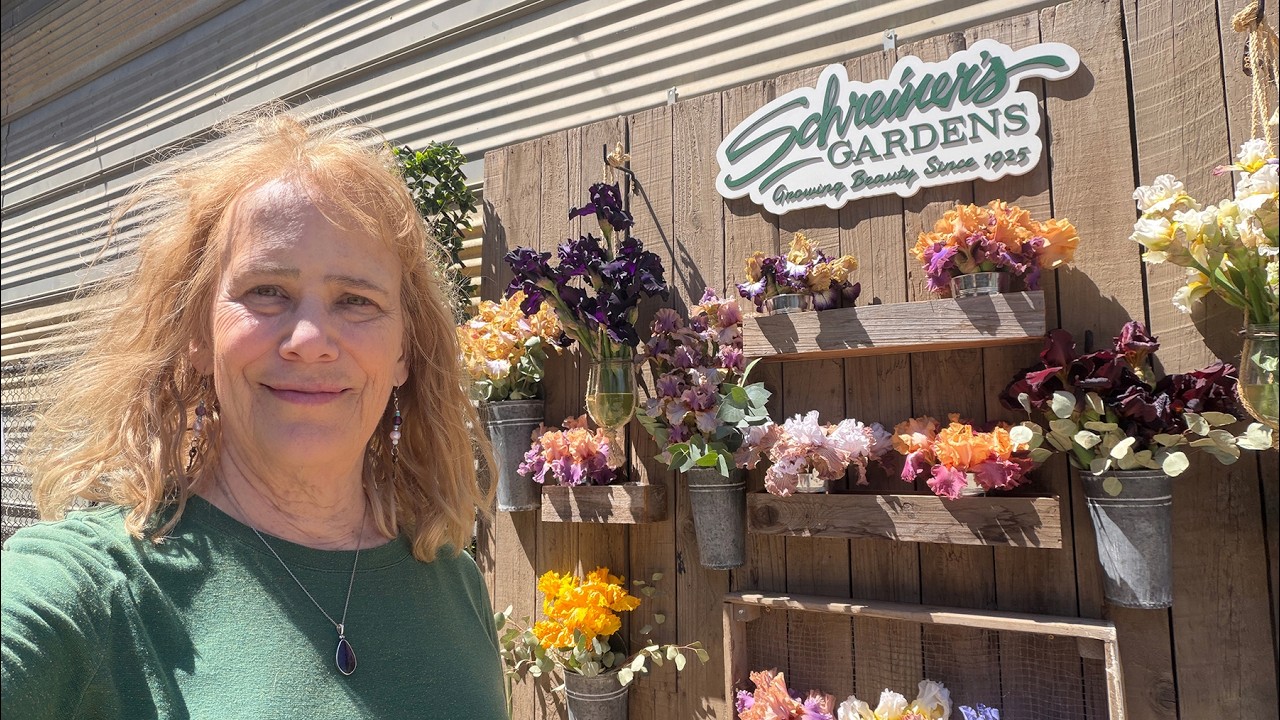 Schreiner's Iris Gardens (Salem Oregon)