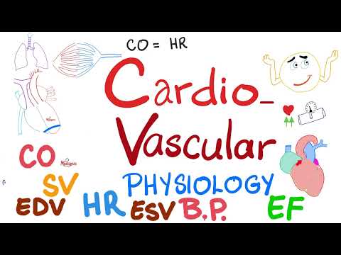 Cardiac Output, Stroke Volume, End systolic & End diastolic volumes, Ejection Fraction
