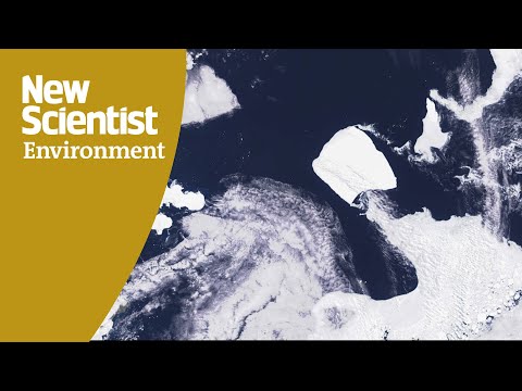 World's largest iceberg A23a tracked by satellite images