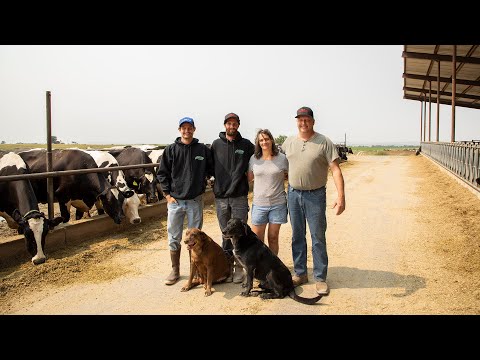 Farm Friday: Almar Dairy