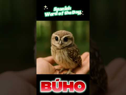 Spanish Word of the Day - Búho - Owl