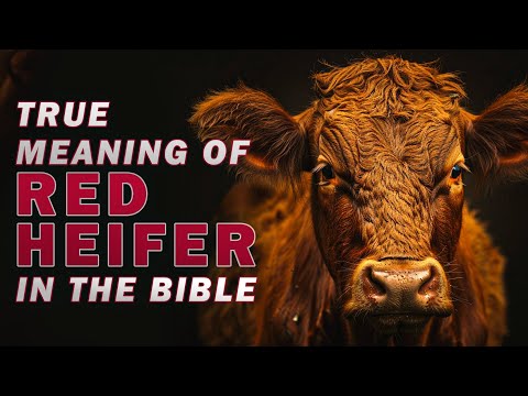 What MOST Christians MISS about the RED HEIFER in the OLD TESTAMENT