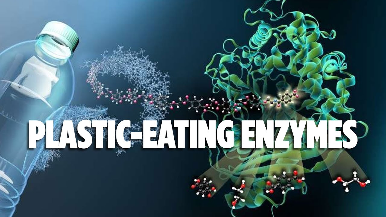 Plastic-Eating Enzymes: A Revolutionary Solution for Plastic Waste | InnoVision Tech