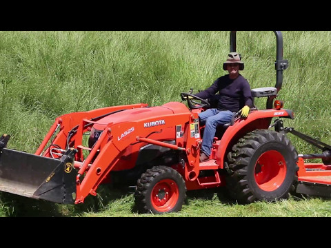 Weed Abatement, Weed Abatement Services by Shamrock Landscape, Benicia, Ca (707) 647-2000