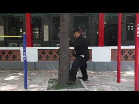 Basic techniques of Bajiquan