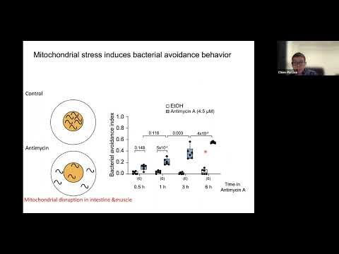 [John Liao] Neurophysiological basis of stress-induced aversive memory in the nematode C. elegans