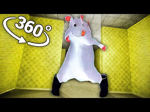 Rat dance - Backrooms in 360° Video | VR / 8K | ( Rat dance meme )