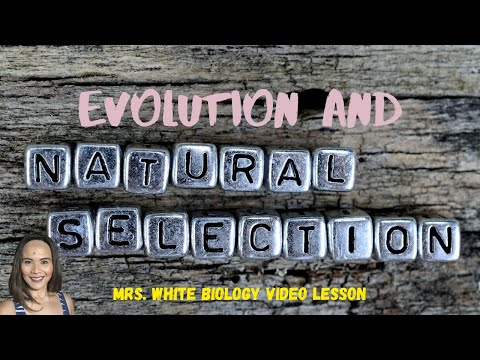 LESSON ON EVOLUTION AND NATURAL SELECTION | ENGLISH