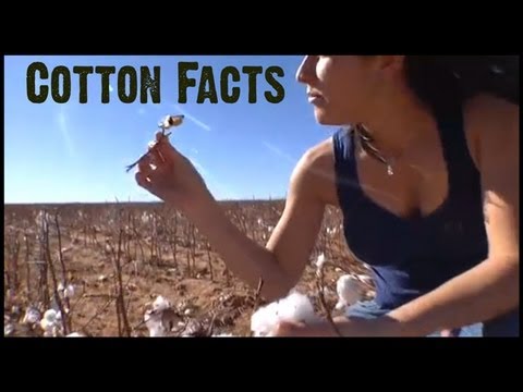 Cotton Facts