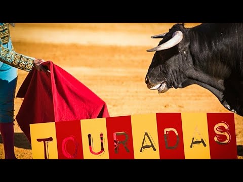 POLÊMICAS TOURADAS - CONHECI UMA ARENA DE TOUROS EM BARCELONA