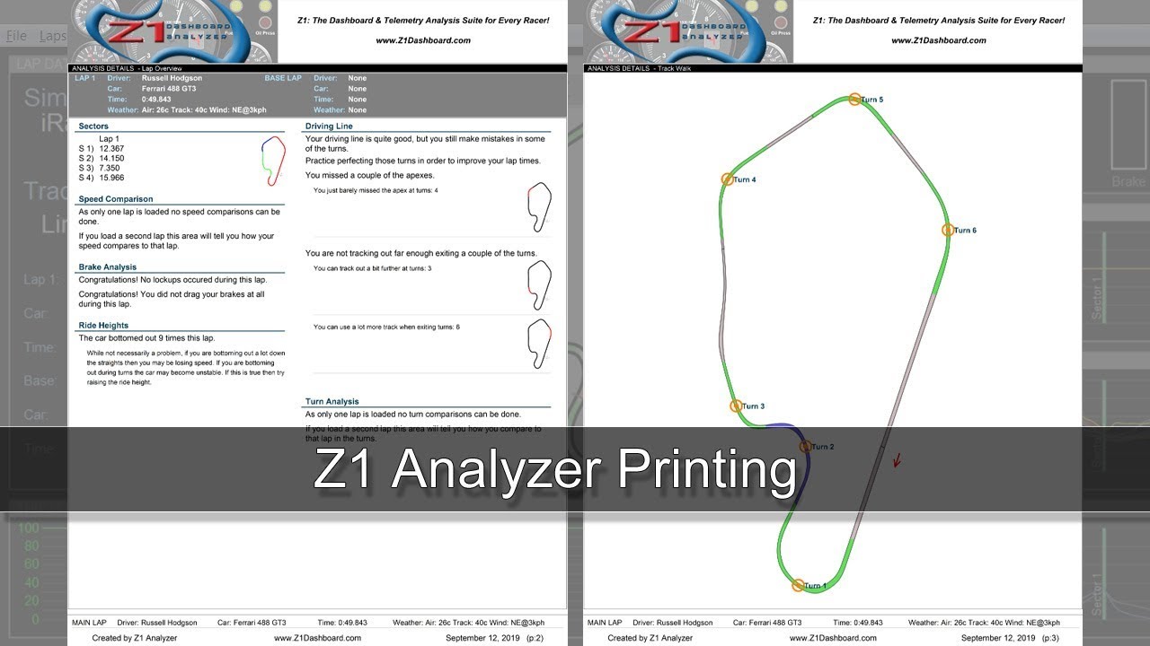 Z1 Analyzer Printing